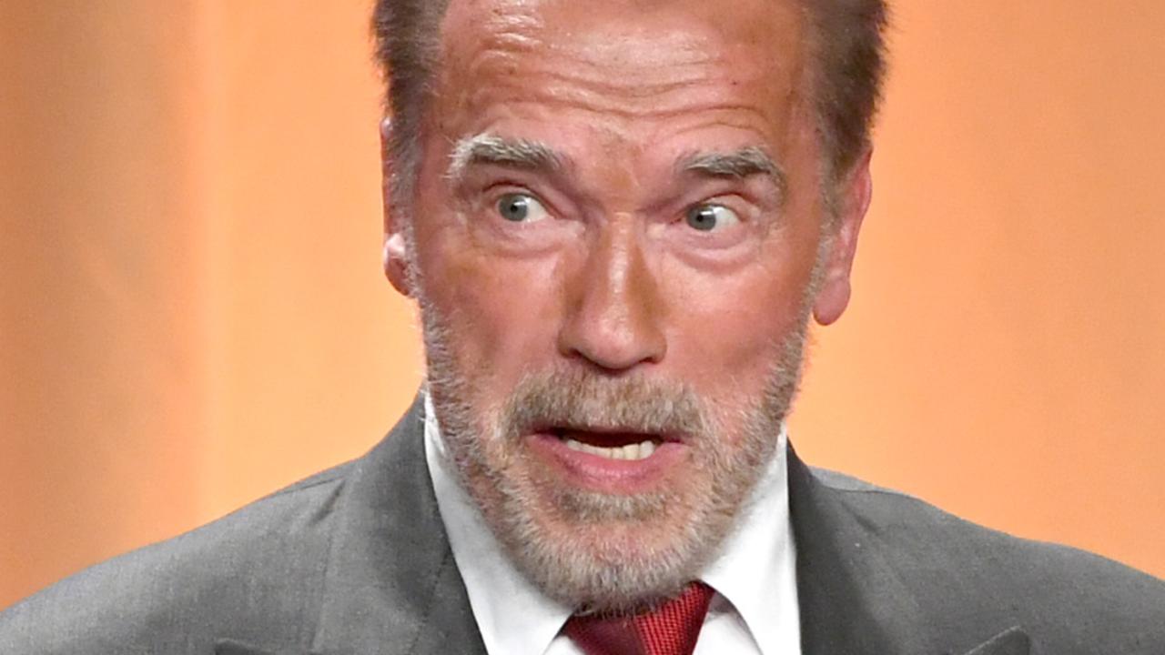 Arnold Schwarzenegger Reacts To Watching Son Patricks Sex Scenes The