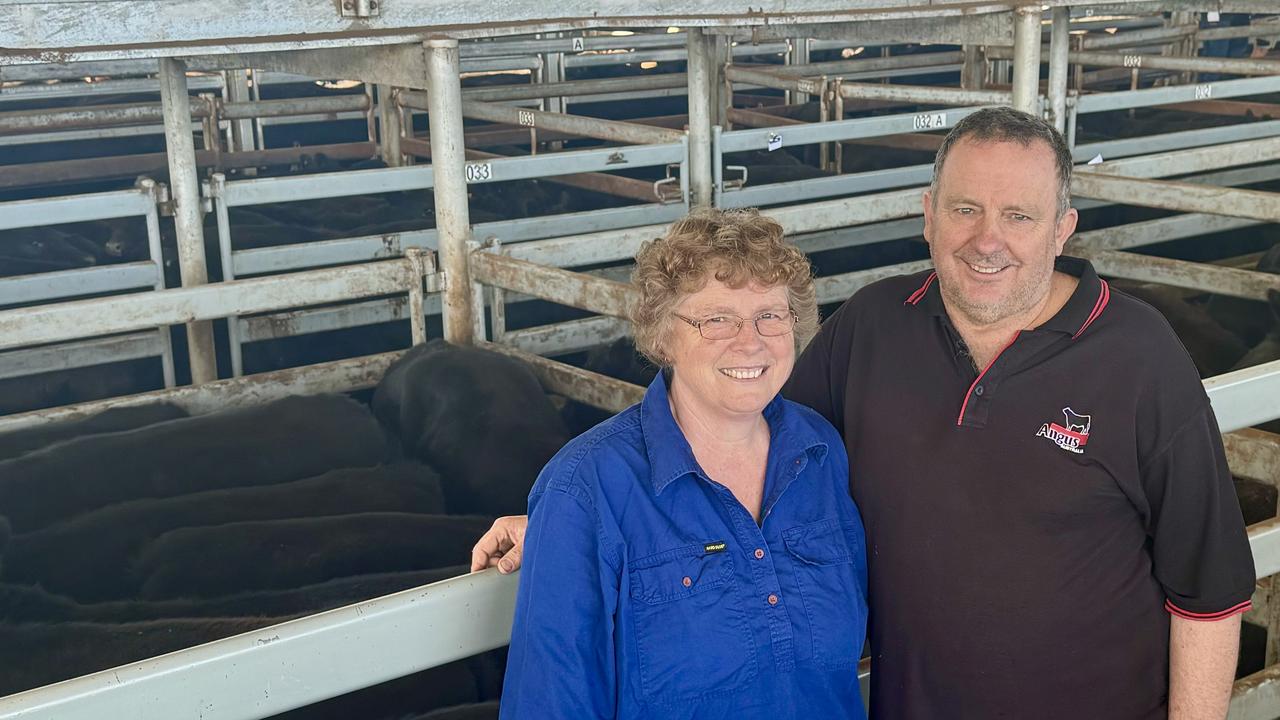 Victorias Western District Mortlake Cattle Store Sale Spring Drop