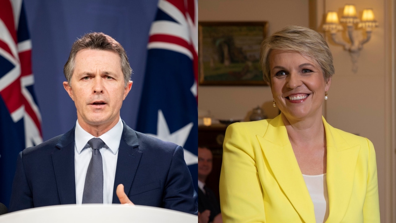 Tanya Plibersek Helping Jason Clare With Education Portfolio Despite