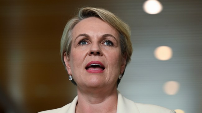 Tanya Plibersek Says She ‘wouldnt Be Doing My Job If She Did Not