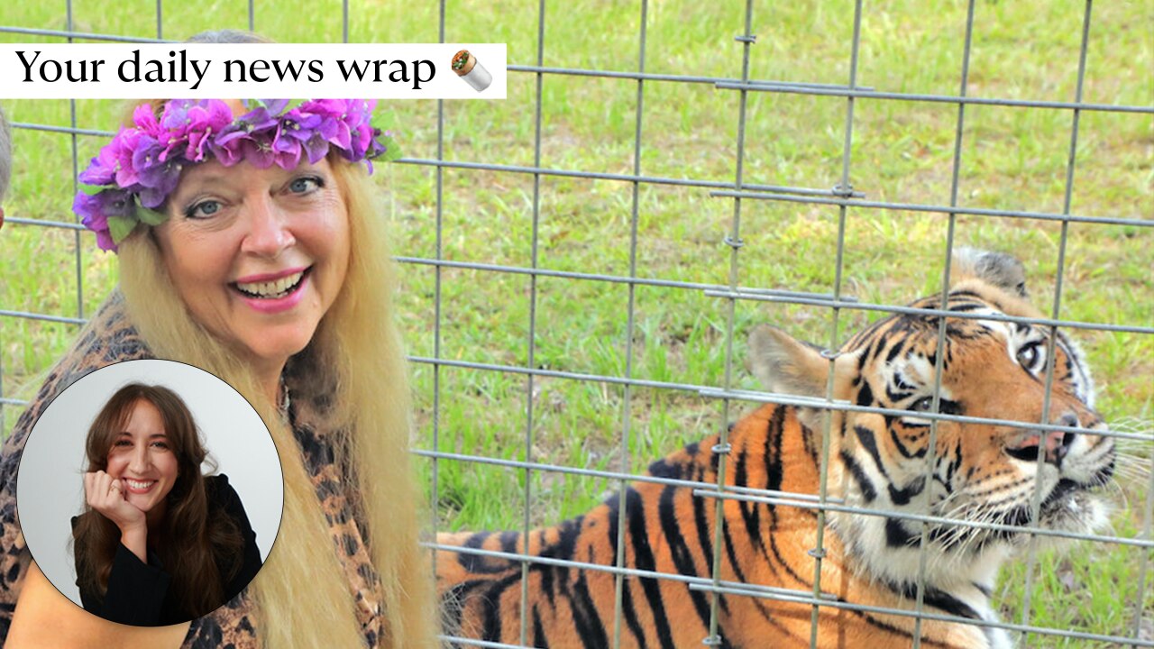 Carole Baskin Tiger King New Us Tiger Laws Milklab Price Rises Taylor