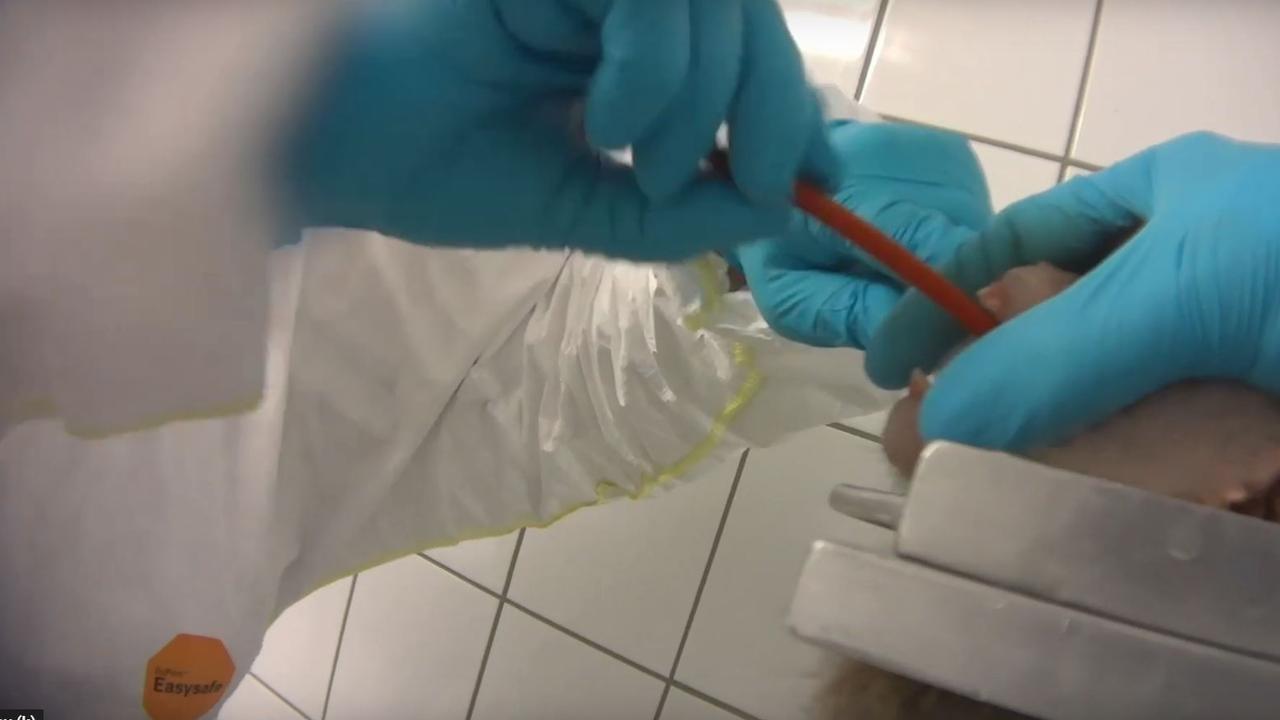 Footage shows harrowing treatment of monkeys and dogs at animal ... Footage shows harrowing treatment of monkeys and dogs at animal ...