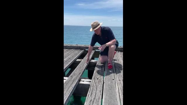 Portsea locals fear they will lose part of their iconic pier forever ... Portsea locals fear they will lose part of their iconic pier forever ...