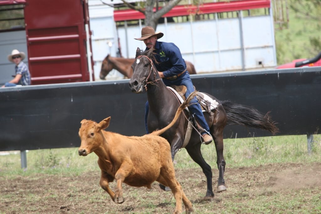 Annual Yarraman campdraft | The Courier Mail Annual Yarraman campdraft | The Courier Mail