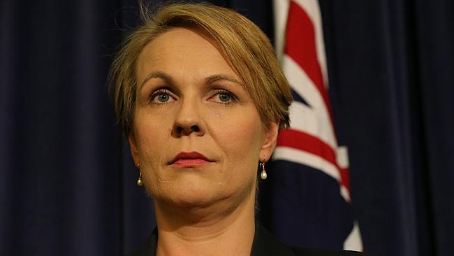Tanya Plibersek To Introduce Bill To Legalise Same Sex Marriage — But