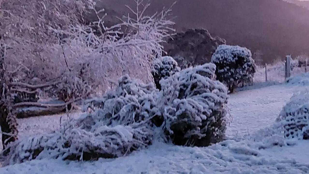 Tasmania Weather Week Long Cold Blast To Bring Snow Ice And Frost