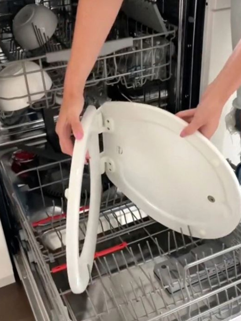 American Influencers Slammed For Putting Toilet Seat In Dishwasher
