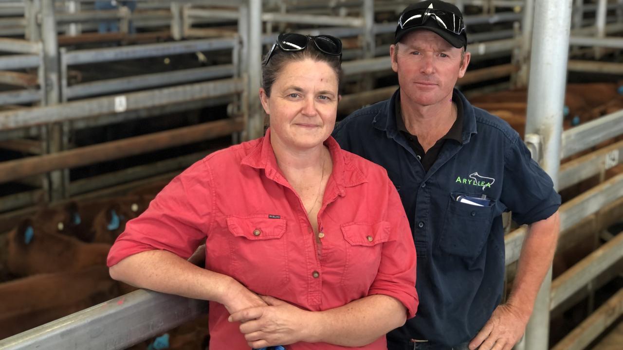 Mortlake Store Cattle Sale Excitement At Saleyards As Virus
