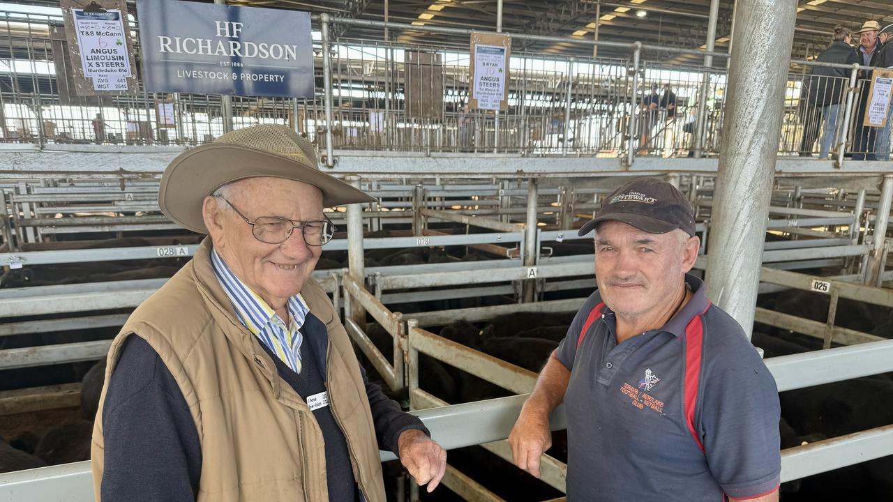 Victorias Western District Mortlake Cattle Store Sale Spring Drop