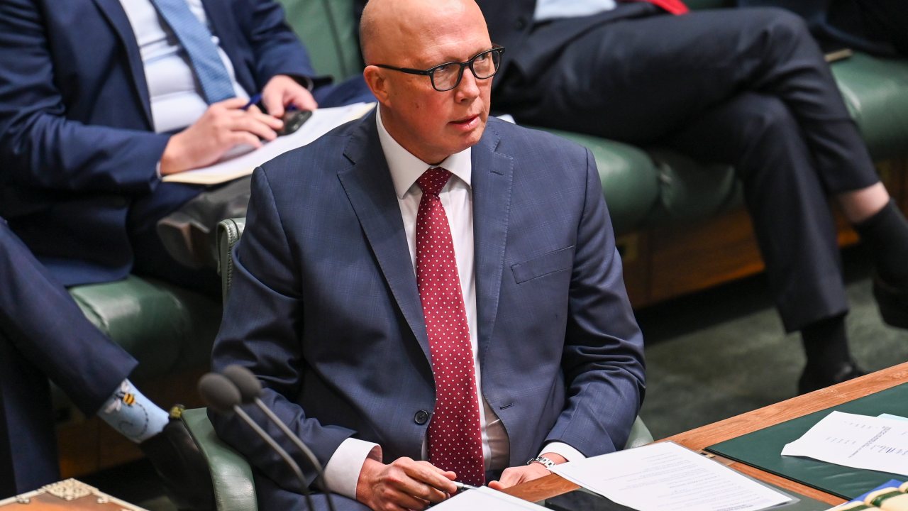 'Take responsibility and frankly apologise': Opposition Leader Peter ... 'Take responsibility and frankly apologise': Opposition Leader Peter ...