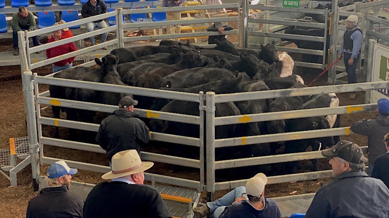 Online Auction Pairs With Live Sale At Mortlake The Weekly Times