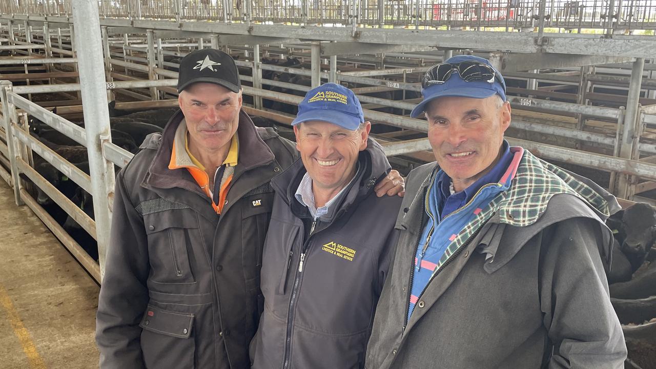 Cattle Prices Big Mortlake Yarding Sees Prices Drop 50c The Weekly Times