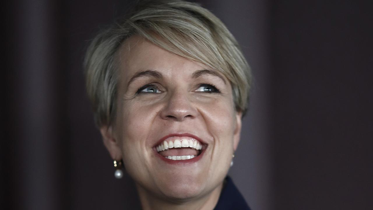 There Could Be A Hung Parliament Says Tanya Plibersek The Australian