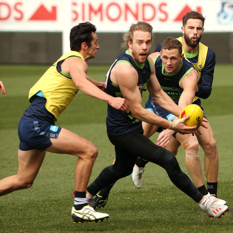 Afl Finals 2019 Geelong Cats V West Coast Cats Brutal Training
